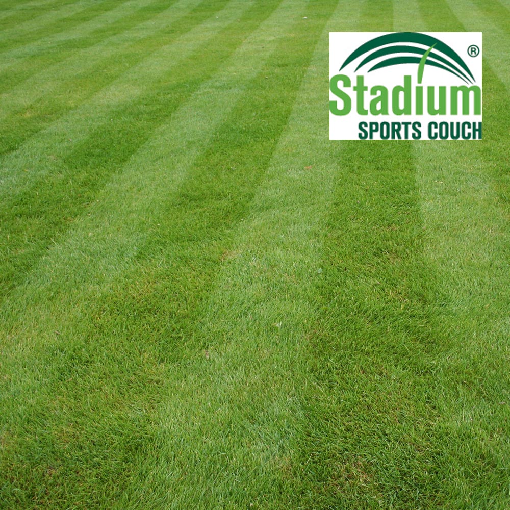 Stadium Couch Turf Hancey's Turf