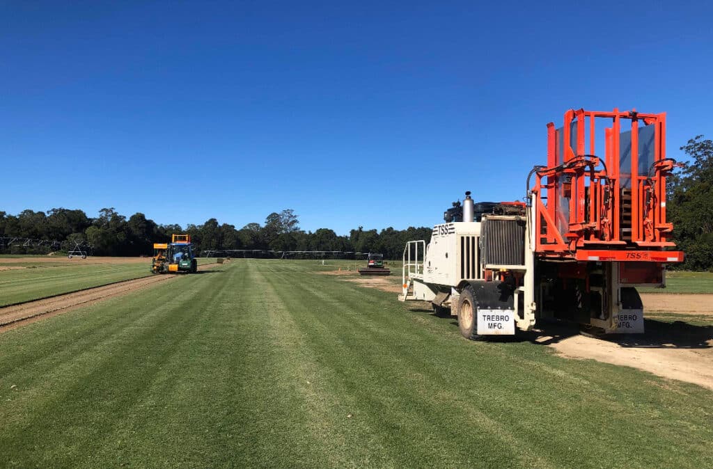 Turf Supplies Brisbane Hancey's Turf