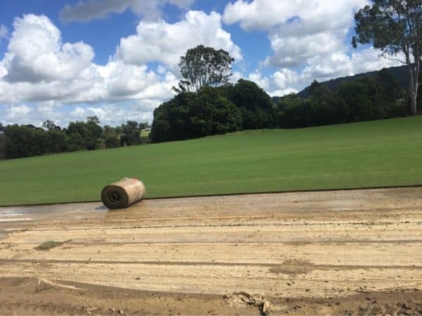 Turf Supplies Brisbane Hancey's Turf